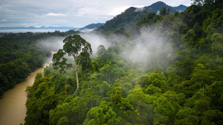 About - Fact-Dialogue